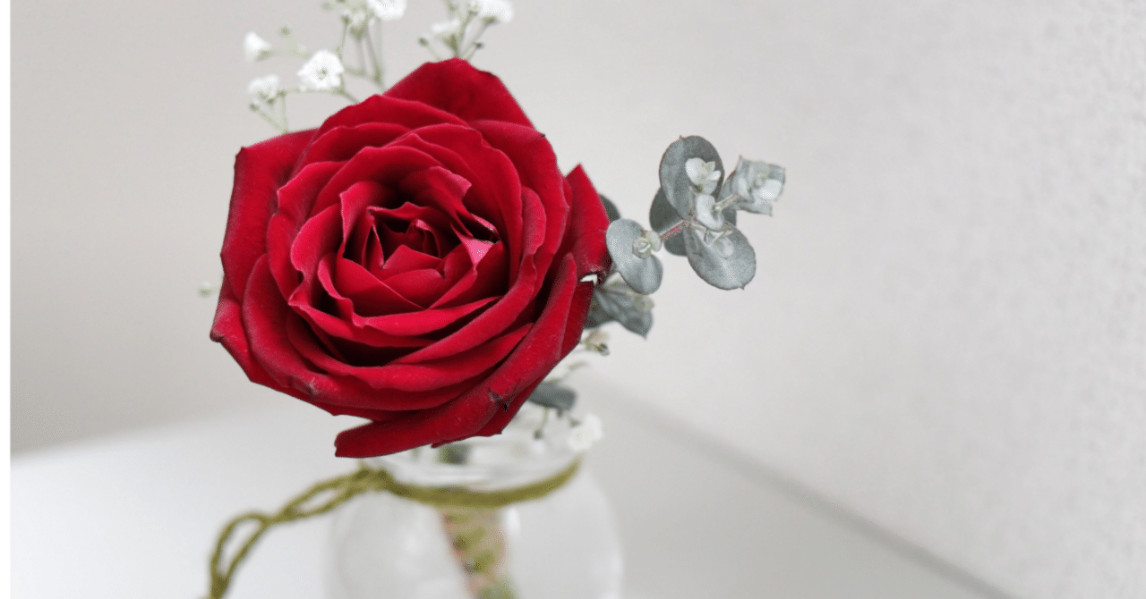 #3 多様性とは？｜koma