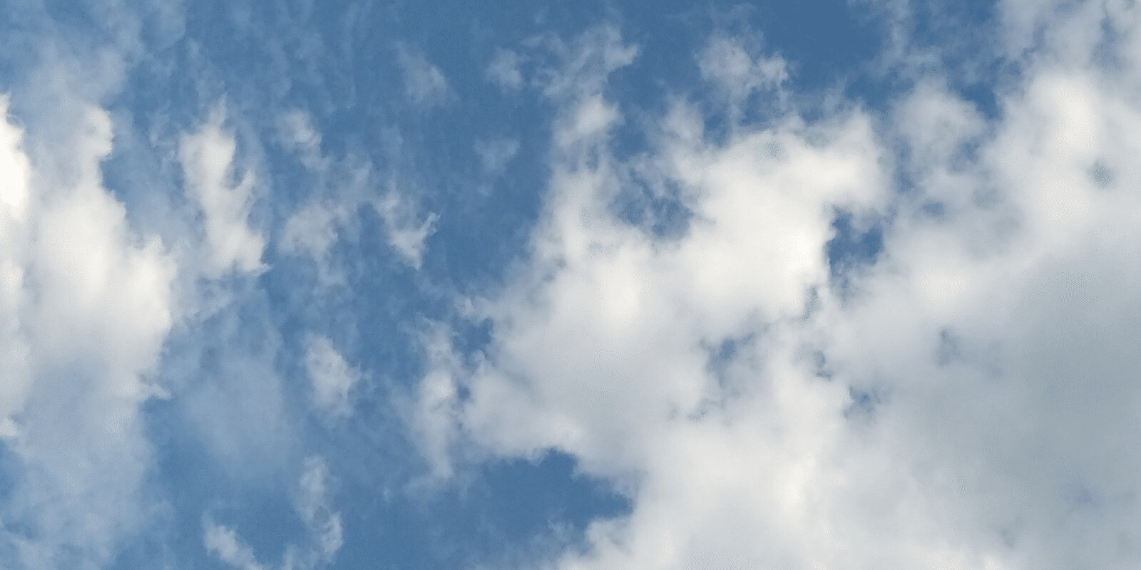 workma(わーくま)｜note