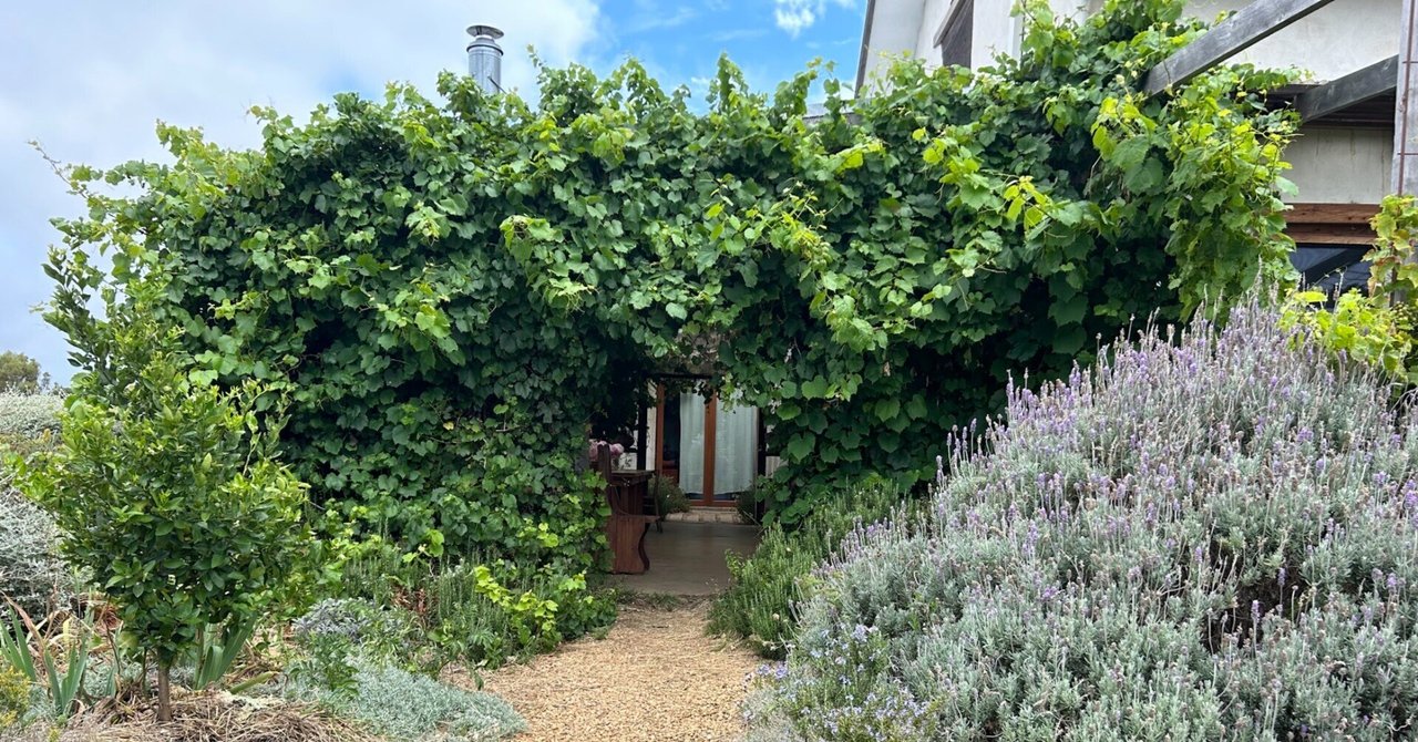 食とパーマカルチャーの楽園Village Dreaming in オーストラリア｜きこりん