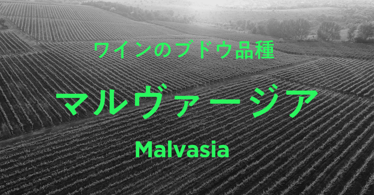 ブドウ品種：マルヴァジーア｜しじみワイン