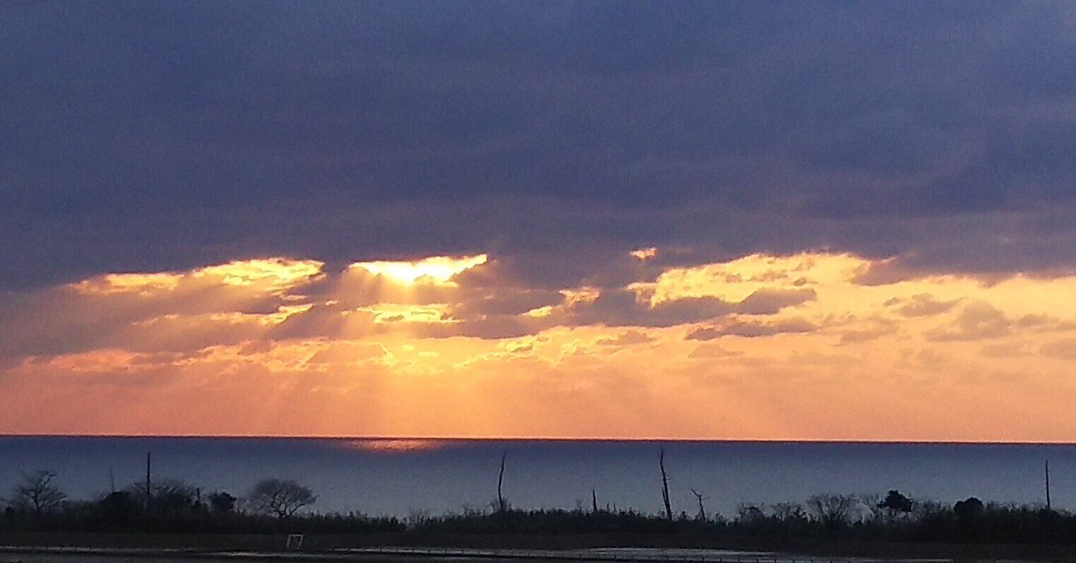 語裏（Gori）｜note