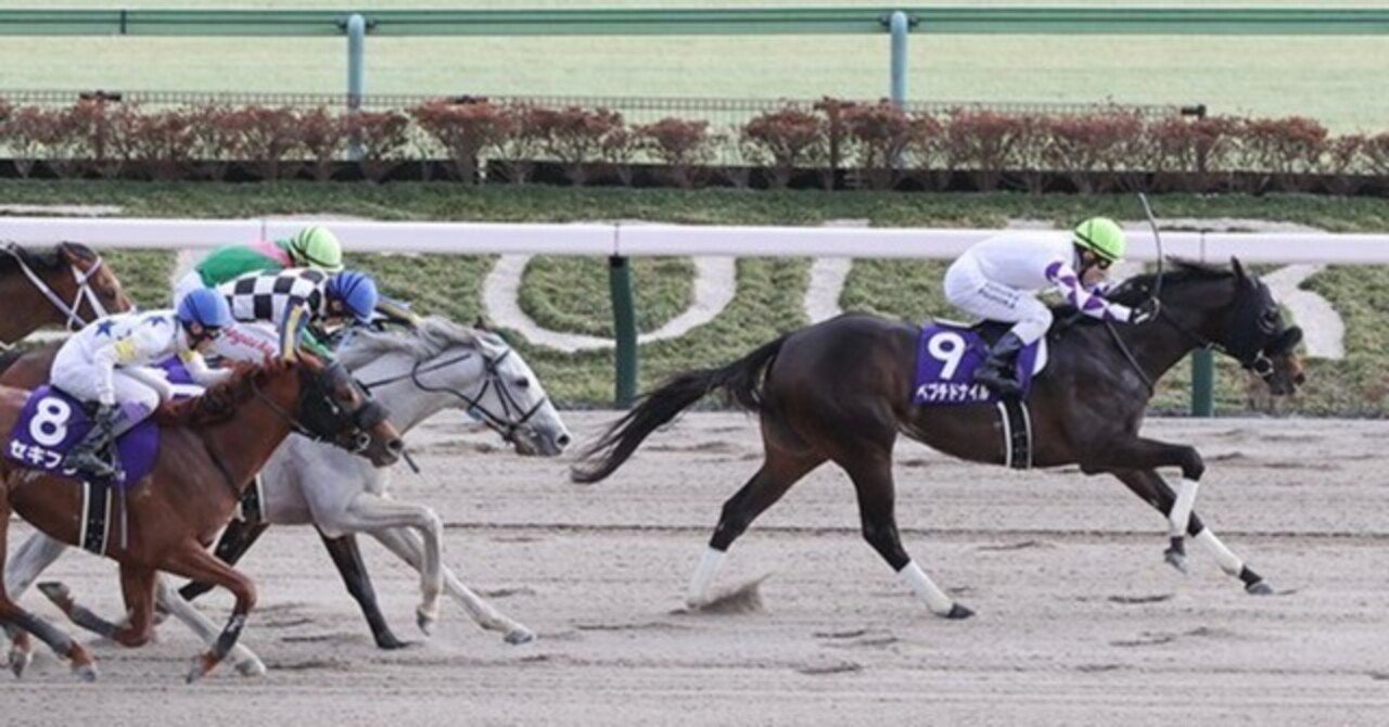 【フェブラリーS（G1）回顧～その先へ】日刊コンピ篇｜Haya