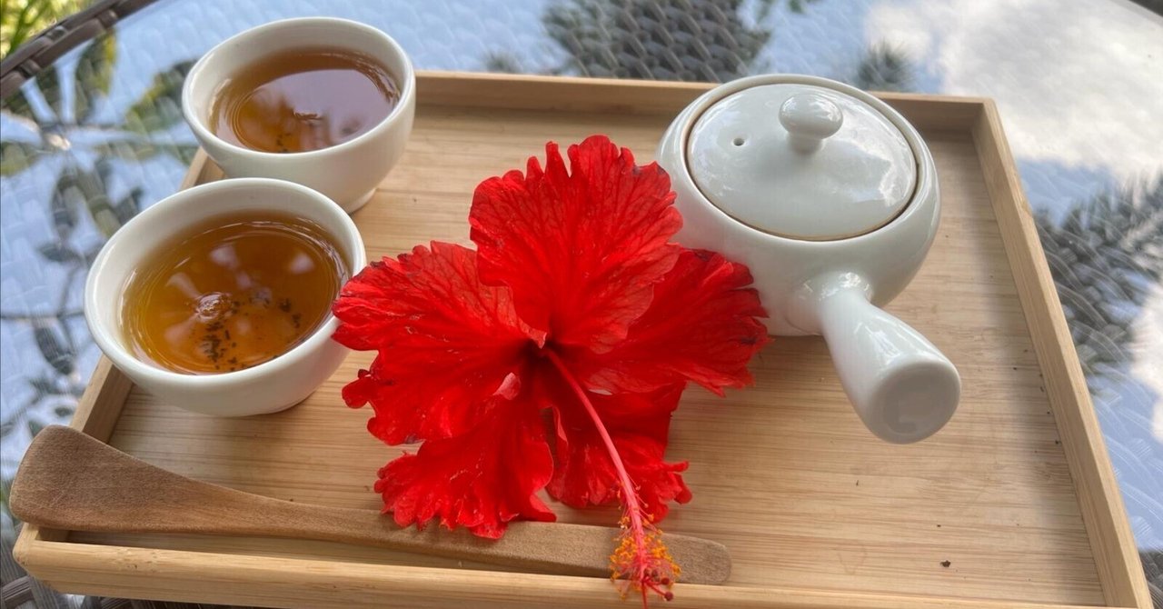 awai Sou / 佐藤 草 ともにいのちを生きる｜note