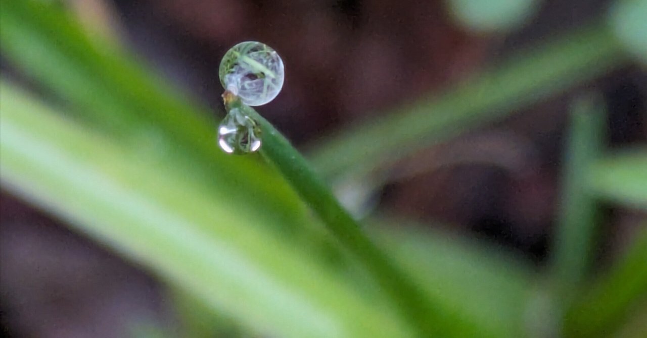 もう一人のヒロコの快感責め｜ichiro70