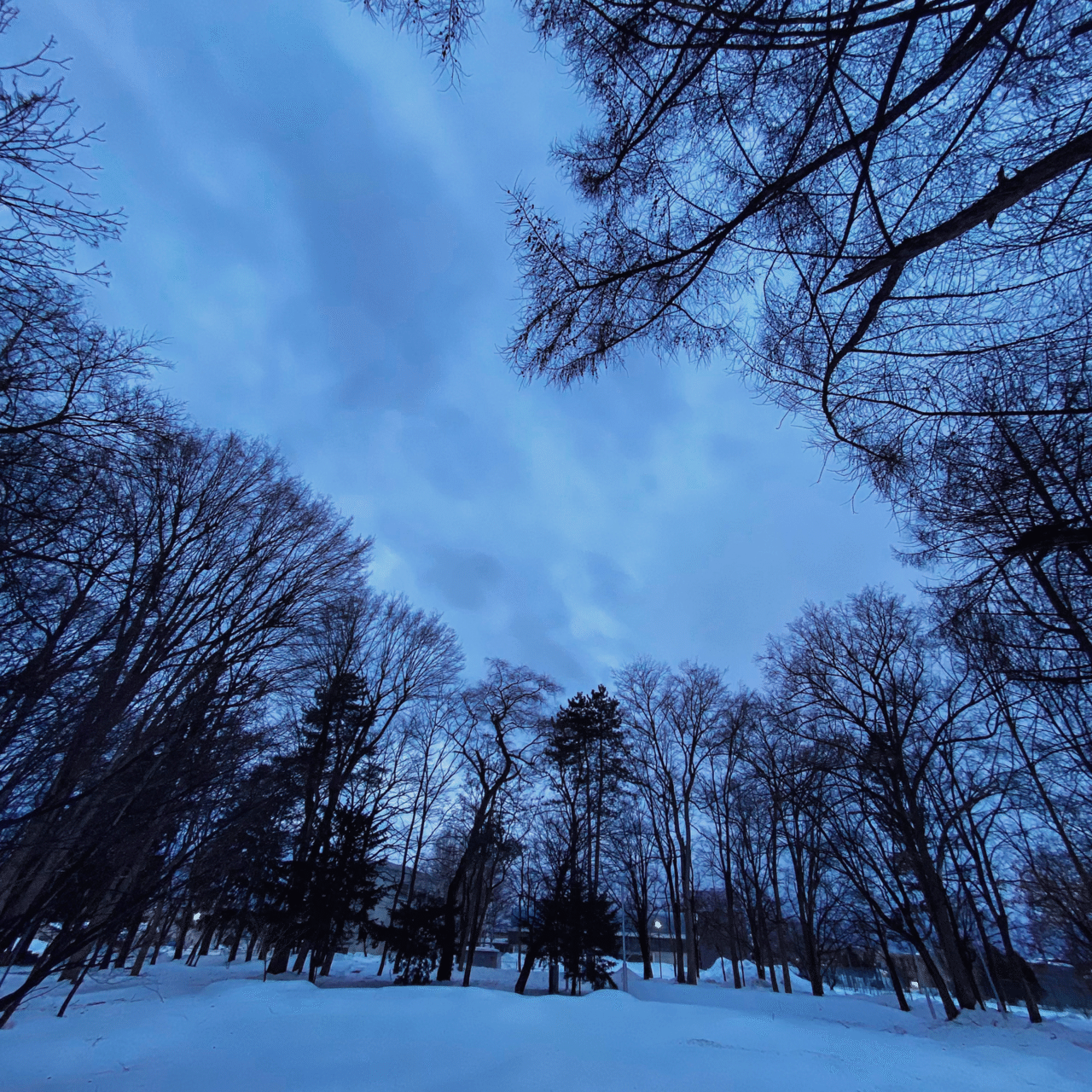 Hiroshi Kikuchi｜note