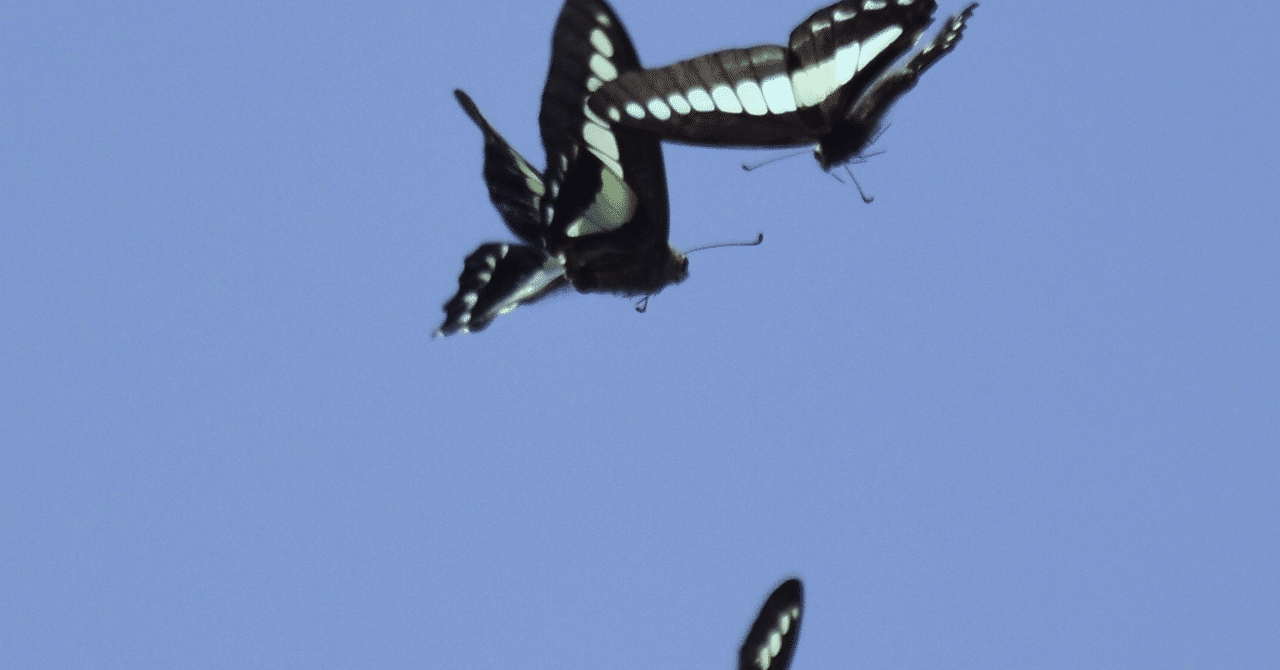 弊社AI VS Scikit-Learnライブラリ｜オリエンタル情報システム株式会社