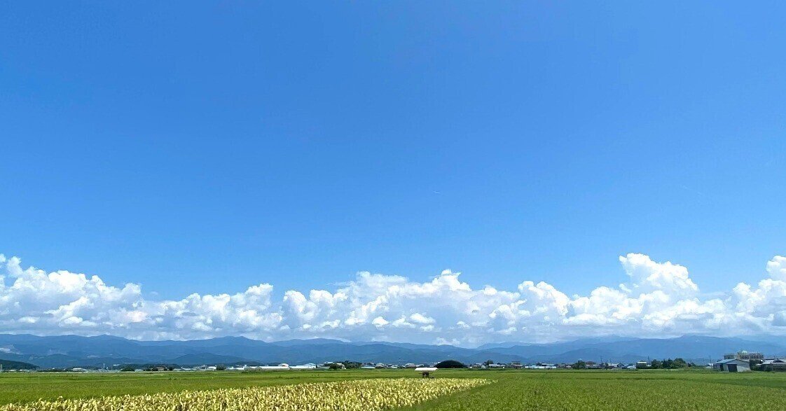 sunshine_3.1415｜note