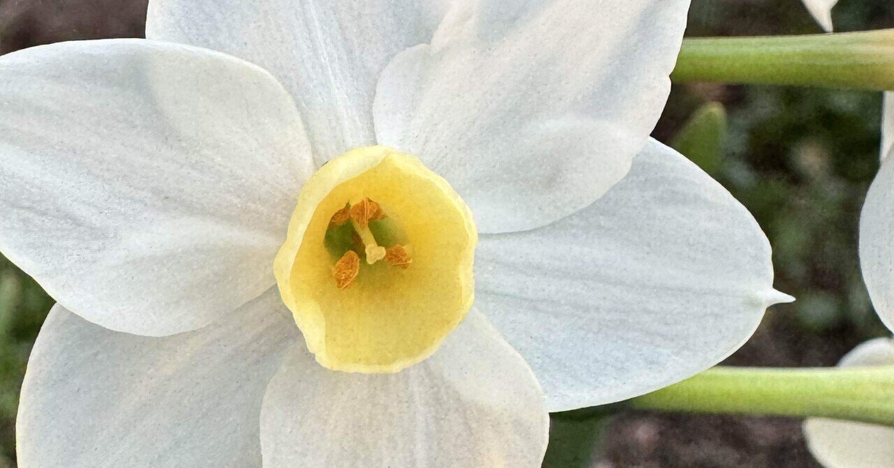 朝から大荒れ｜kyo☆ko