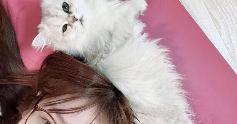 あさかぴん。@ふりーまぁじゃんMOGU｜note