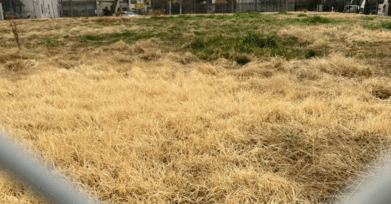 日本の植生遷移｜Ryuji KPIS