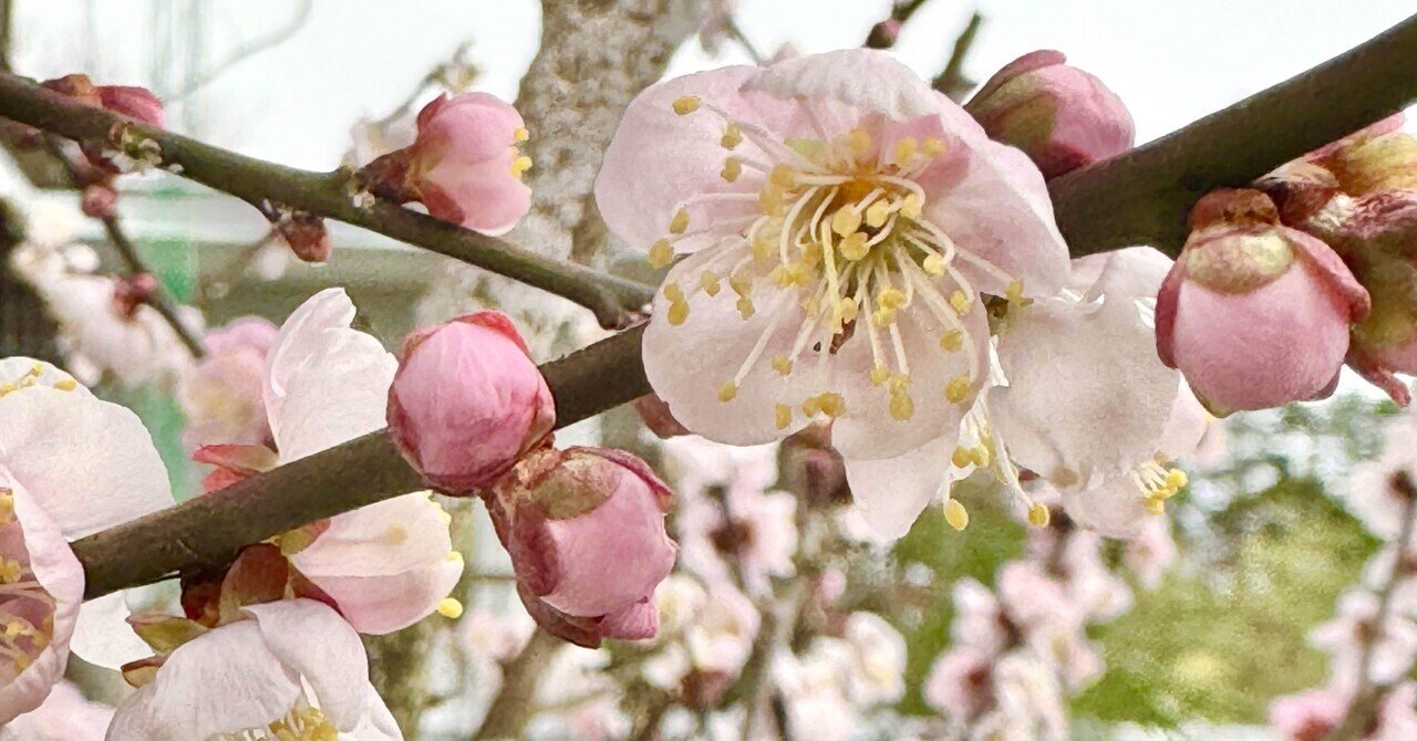 続けること｜kyo☆ko