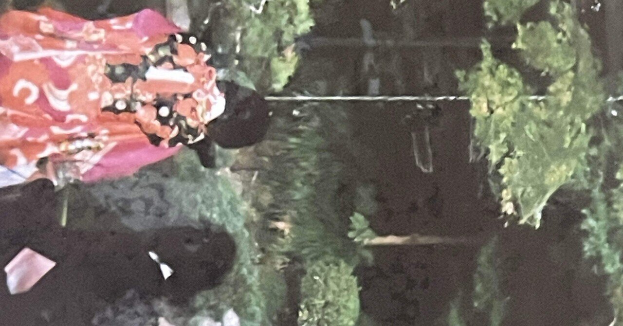 わたし｜Lily_2525