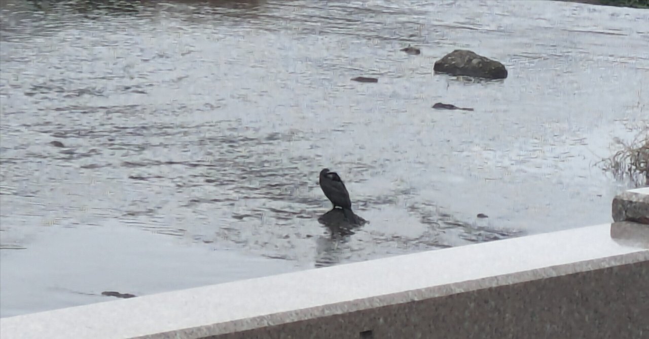 2巻198番~作者 柿本人麻呂｜ichiro70