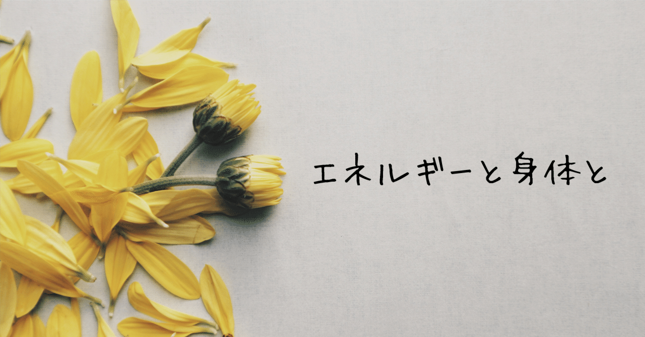 Iro Eriko【少しずつ小さく起こすキセキ】｜note