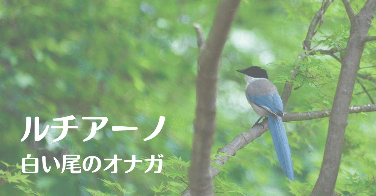 【短編小説 ルチアーノ －白い尾のオナガ－ 8】Wimpy Monster 弱虫モンスター｜麗野鳩子 | Hatoko Uruwashino