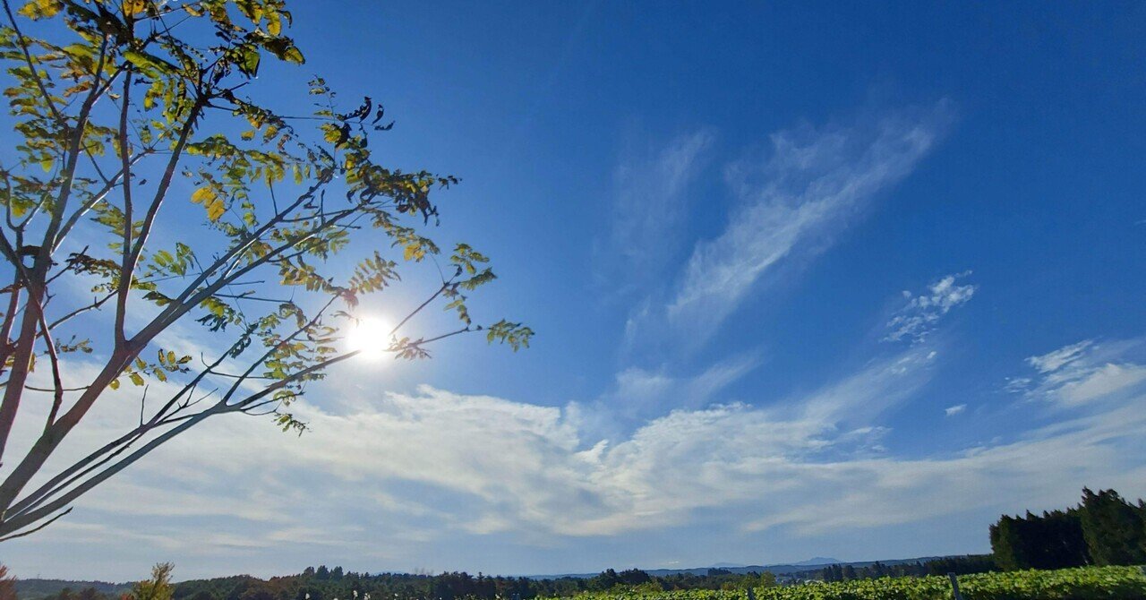 紫外線の必要性｜hideko okawa