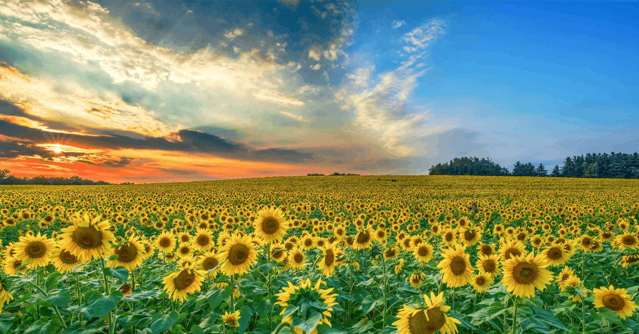 心機一転生まれ変わります（ヒロです。）｜ゆう