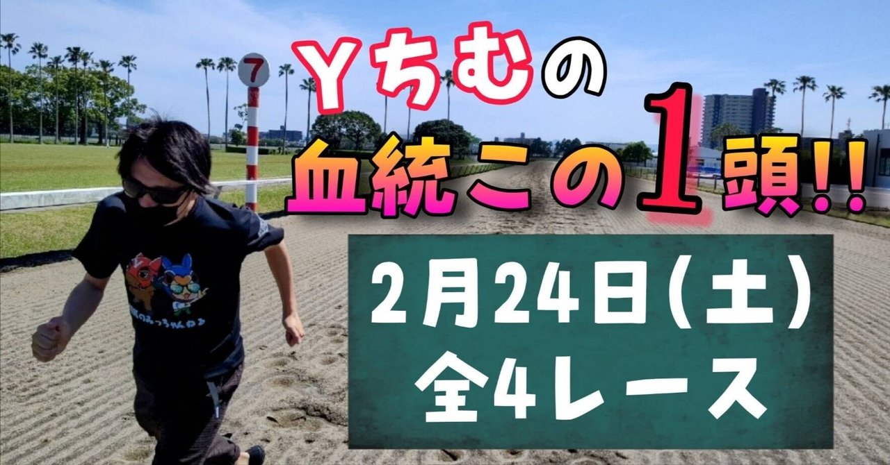 2月24日（土）血統推奨馬｜yra血統調査員