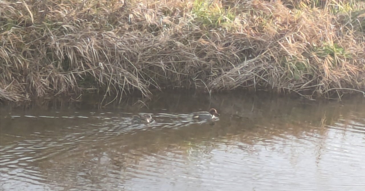 2巻201番〜作者 柿本人麻呂｜ichiro70