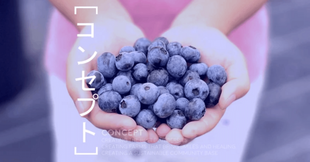 農園のコンセプト｜BLUEBERRY BASE MOKA