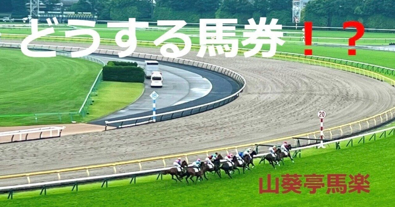 どうする馬券⁉️ 中央・地方競馬🐎 【高配当(万馬券以上)予想的中🎯実績追記】 |山葵亭馬楽