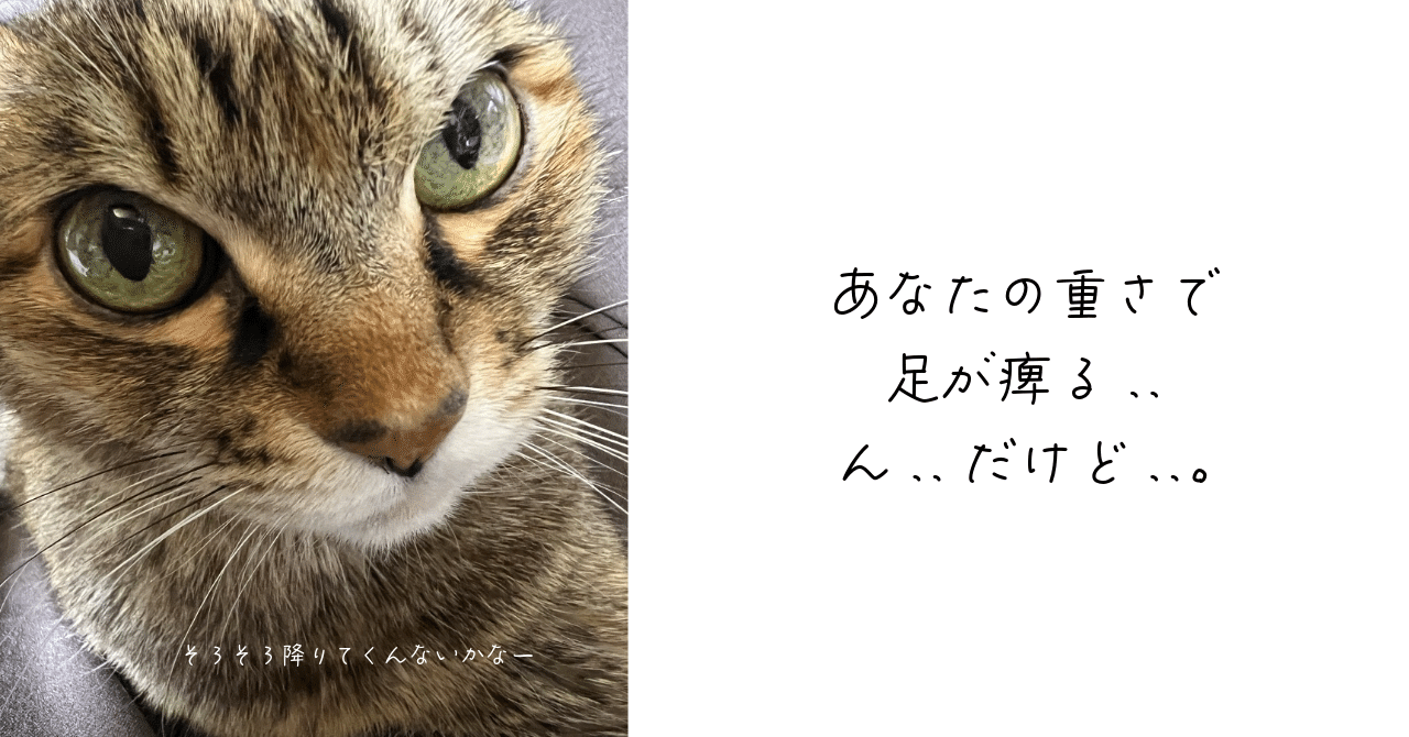 針葉樹を深掘りしすぎたら深海に行き着いちゃった話。（その2：重たい空気、重い水）｜Ms'HIRO
