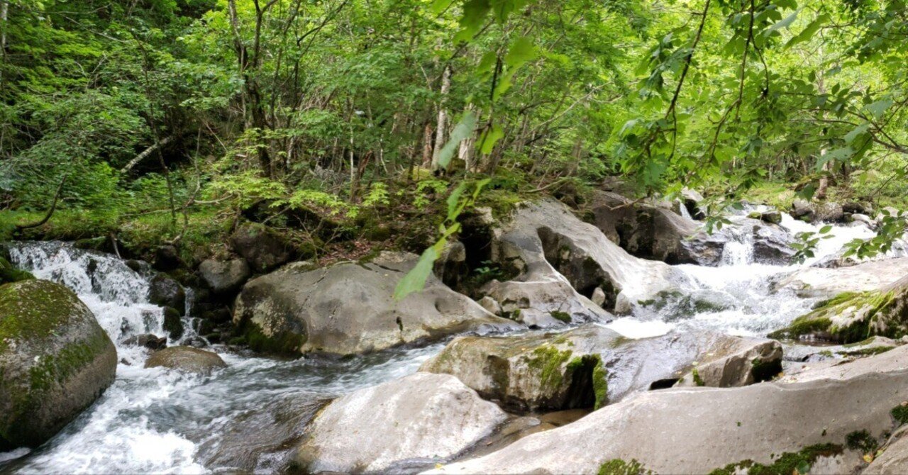 #142 「どんぐりと山猫」の舞台とは？【宮沢賢治とシャーマンと山 その15】｜宮沢賢治と新渡戸の時代