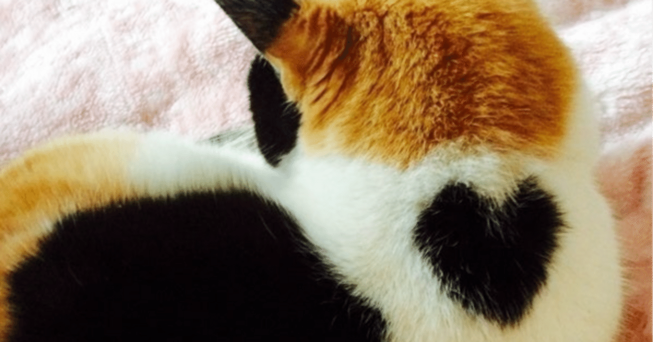 ☆満席☆3月無料カウンセリングモニター様 募集｜Sinri～真理901～ 推し活を推奨 感覚派 心理カウンセラー &スピリチュアル メンタルヒーラー