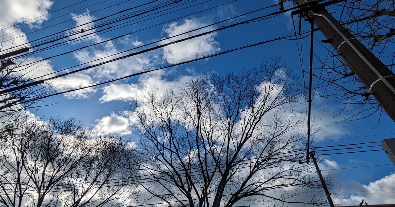 2巻203番〜作者 穂積皇子｜ichiro70