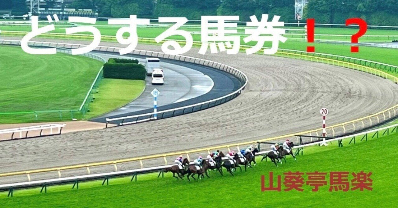 どうする馬券⁉️ 中央競馬🐎 2月25日(日)の馬券実績(万馬券的中🎯3レースの軸と買い目の記録)|山葵亭馬楽