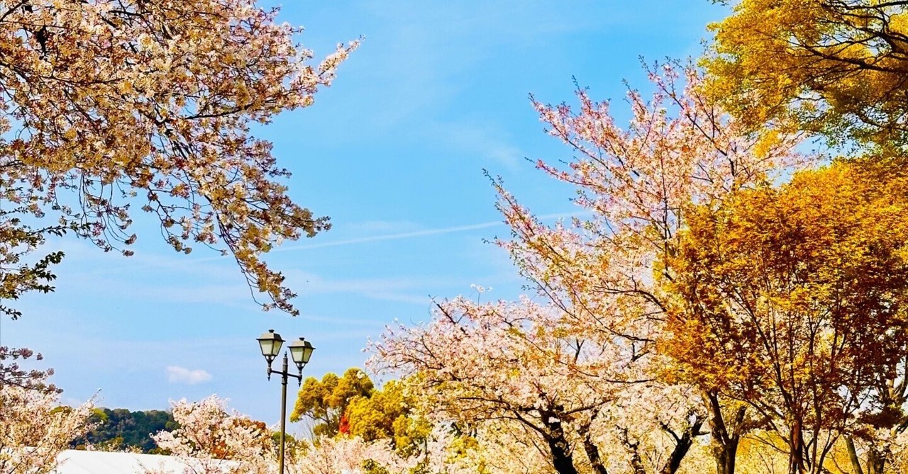 春の予定｜Arisa Mitsui