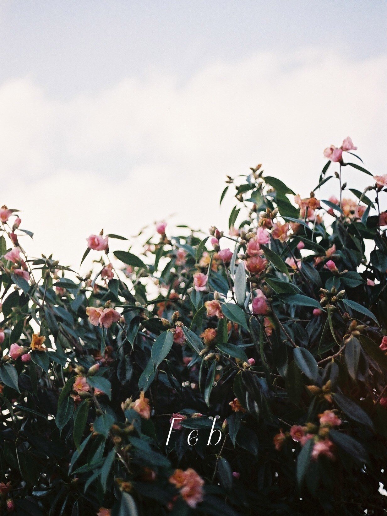 Foolish（山下智也）｜note