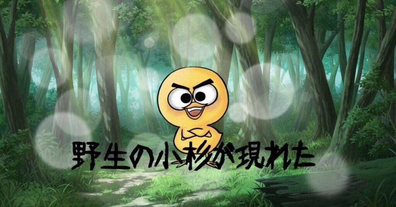 大井勝負レース！20240226大井11r 16時35分発走【ブリリアントカップトライアル競走】｜【競艇】予想屋の蓮くん🐈‍⬛