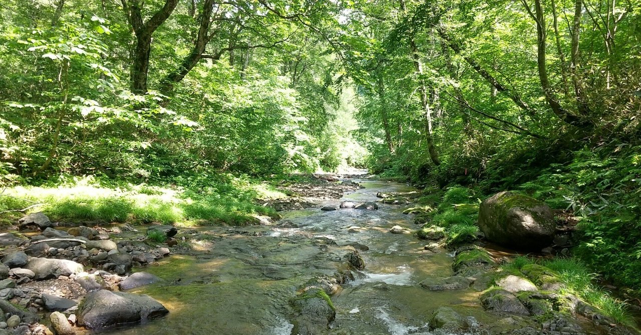 ブナ原生林 白神山地をゆく｜じじ山歩