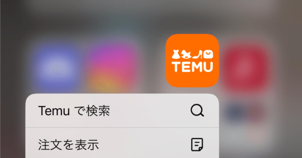 TEMUデビュー｜65