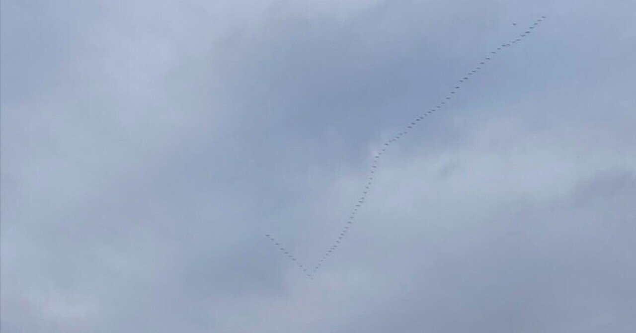 言葉はツールでしかないのか｜Chie Aikawa