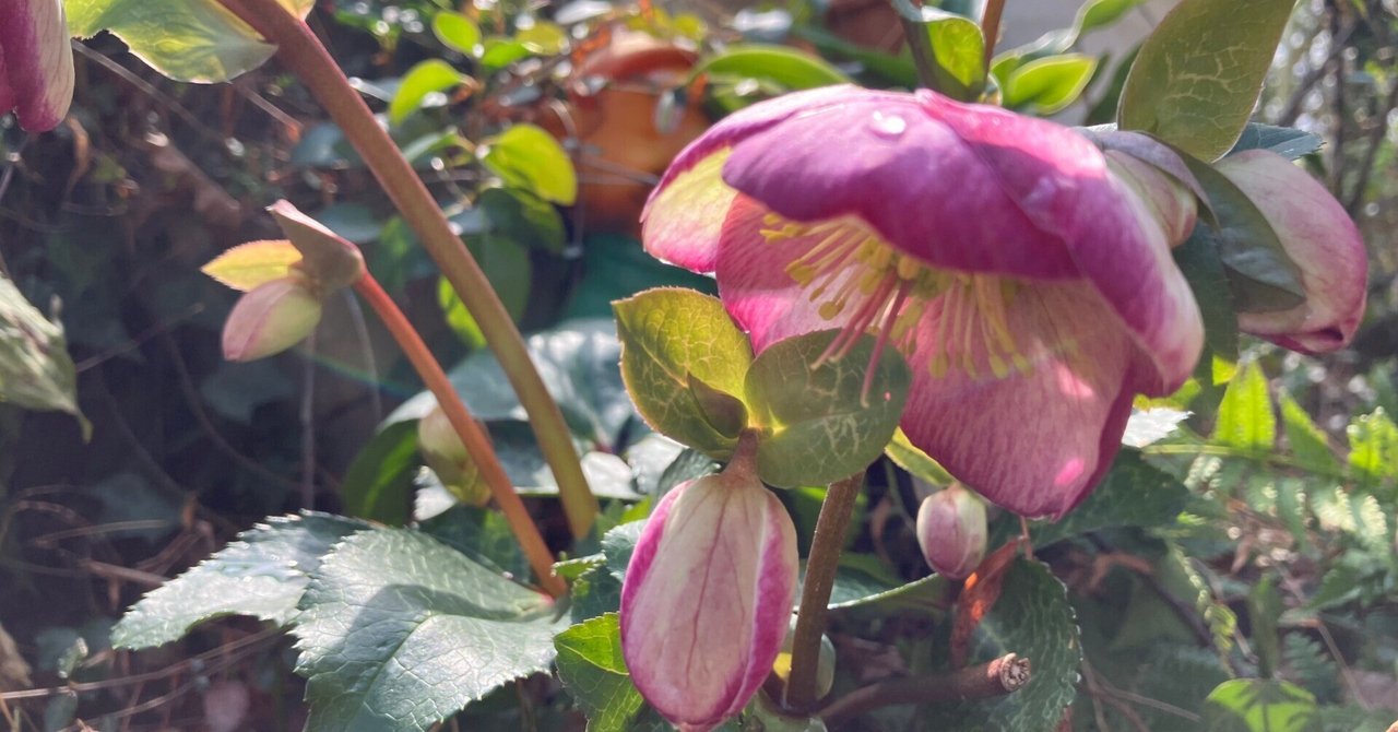 ふと・・・思う｜poporin