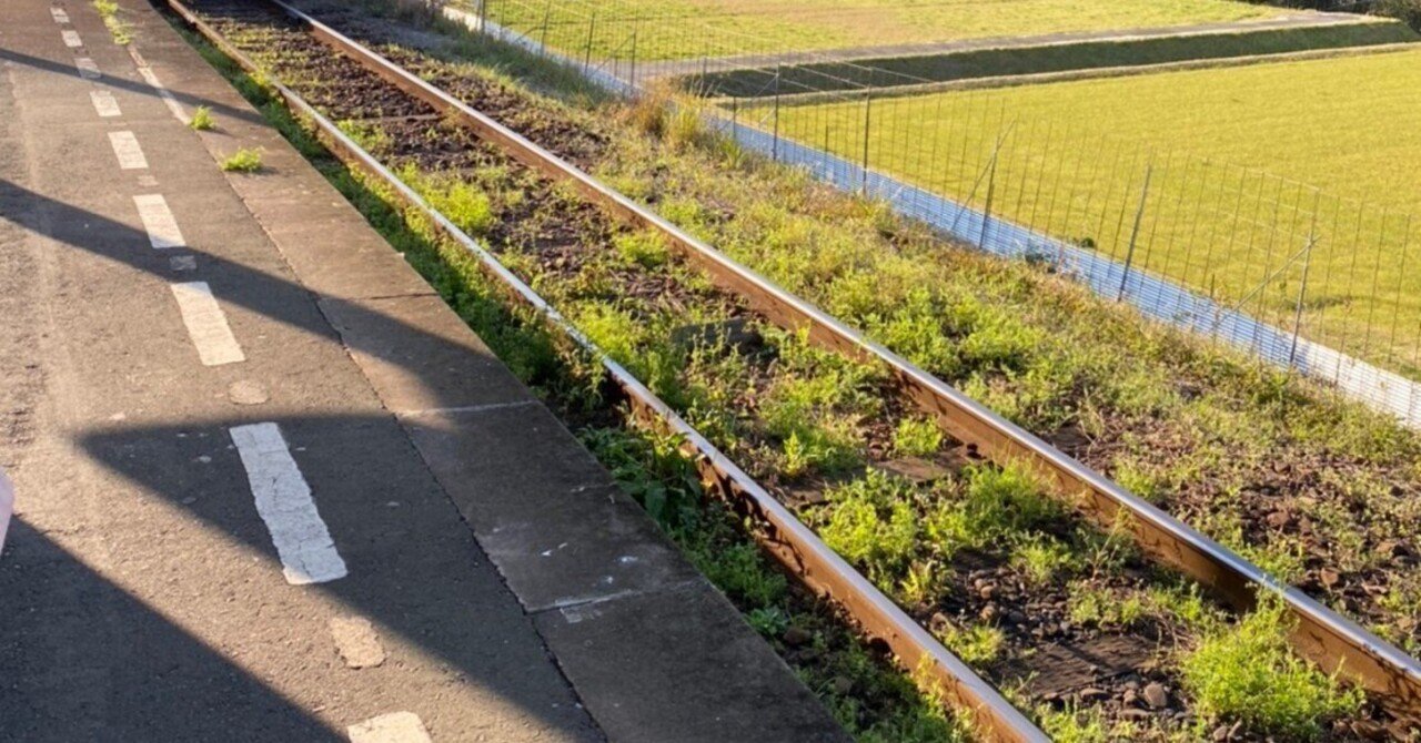 迷子の私より。｜Rui