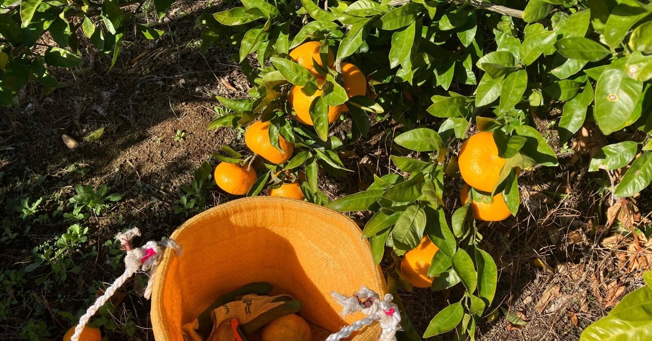 叱られる・・・ほら！ご覧！｜ Jun.Noguchi