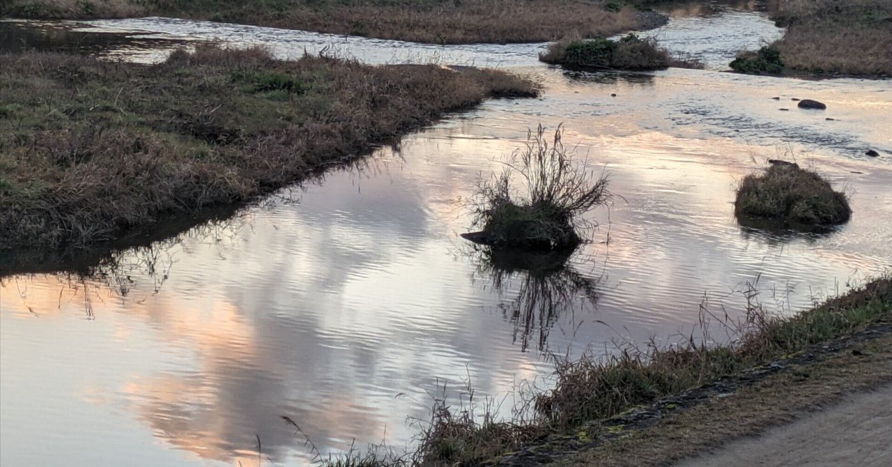 2巻206番〜作者 置始東人｜ichiro70