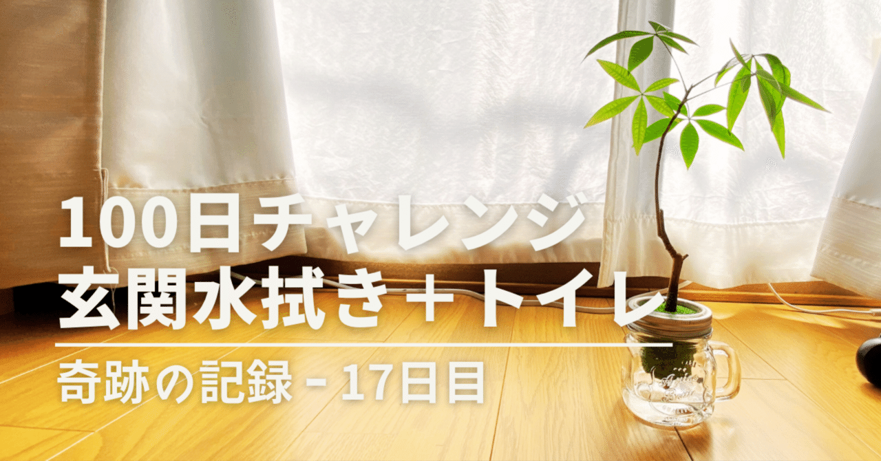 100日チャレンジ 玄関水拭き＋トイレ ｰ 17日目｜KITSUNE