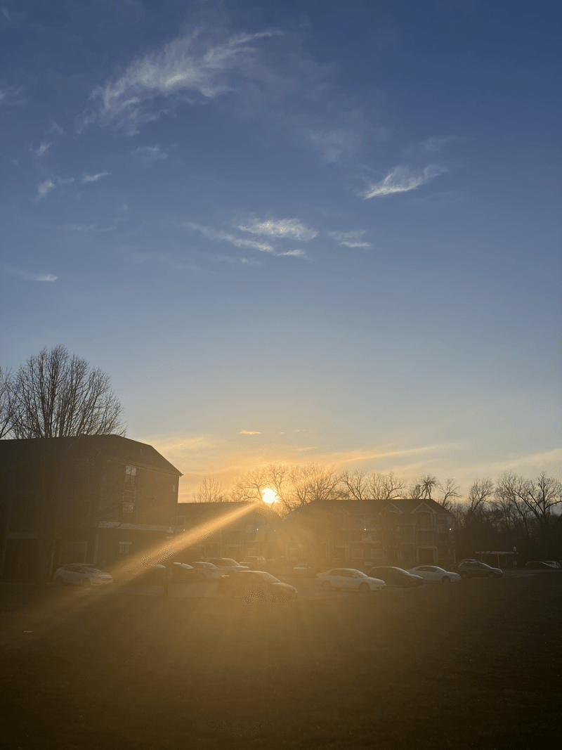 the 198th day｜Yui Suzuki