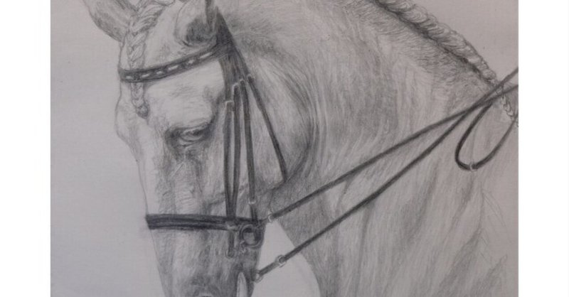 馬のデッサン2｜chiaki_asu