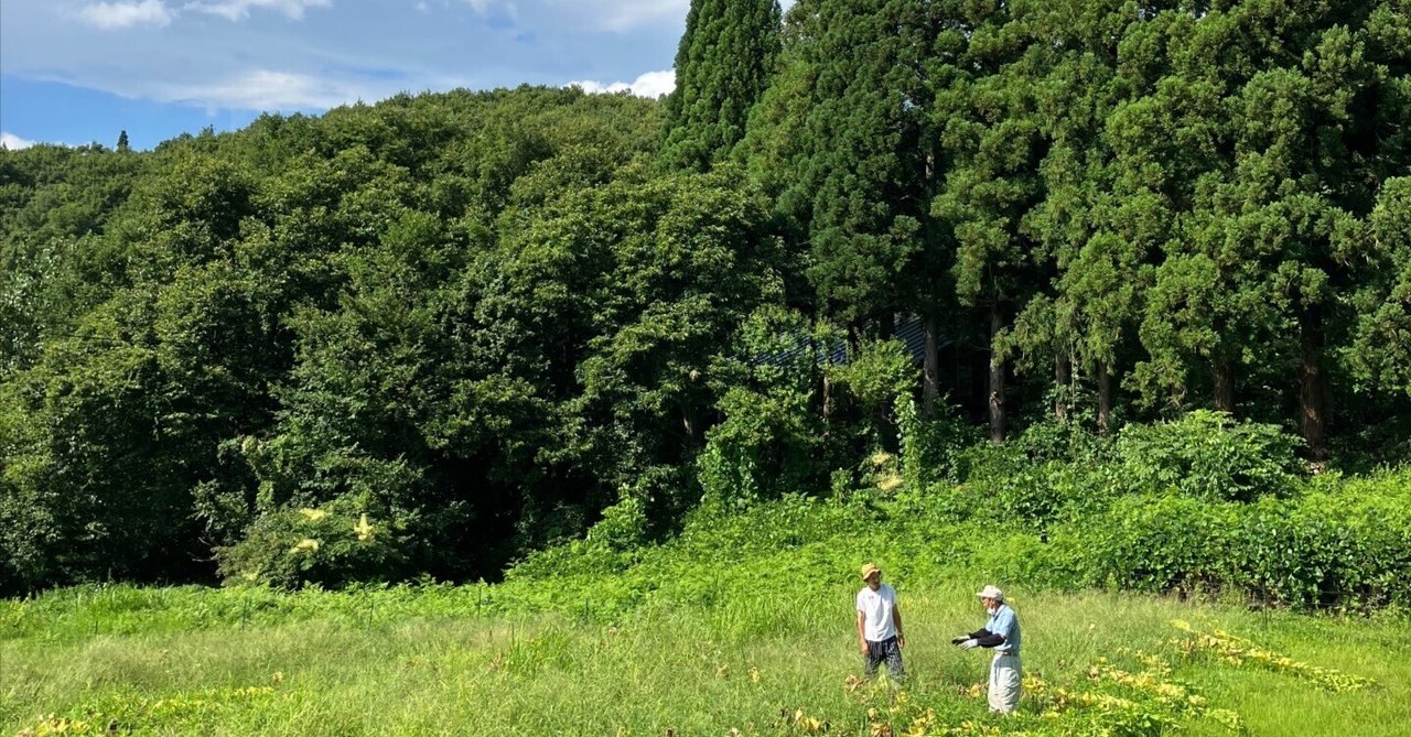 蔵王かぼちゃへの想い #14｜Shinta Ninoto