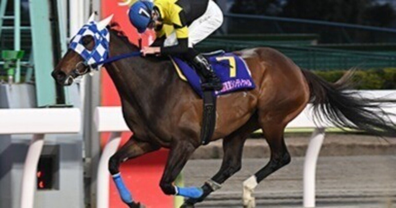 【大井👊🏇激熱勝負レース🏇🔥👊🔥】31（金）【2r】c3（発走時刻1130）｜さやだま