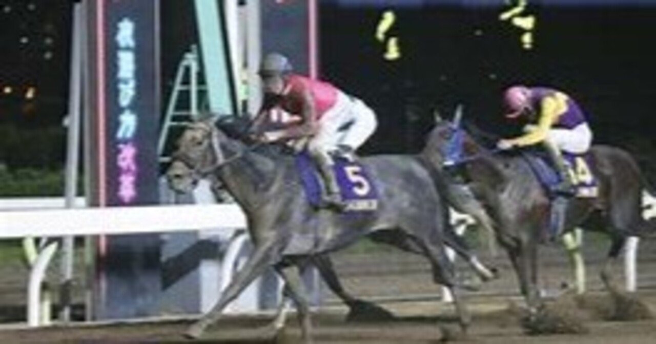 【大井👊🏇激熱勝負レース🏇🔥👊🔥】31（金）【8r】c2二三 （発走時刻1445）｜さやだま