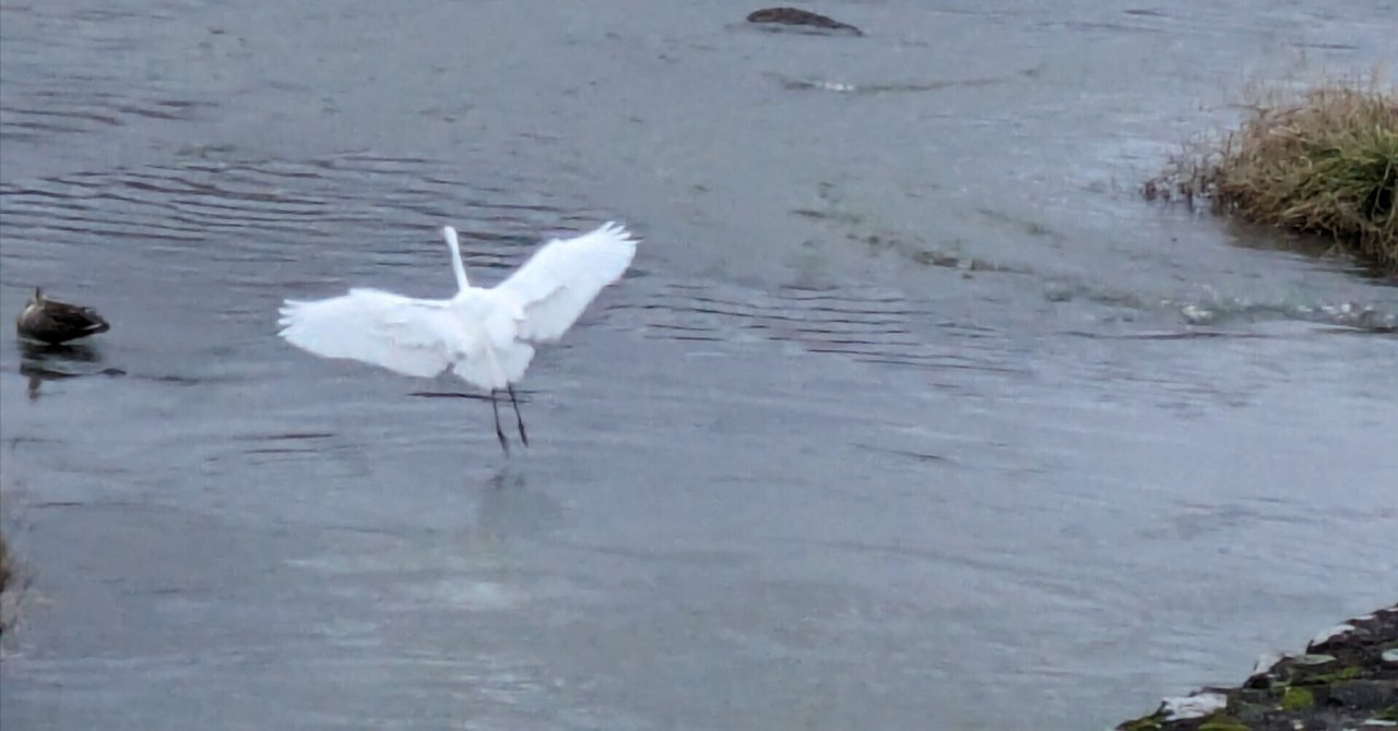 2巻209番〜作者 柿本人麻呂｜ichiro70