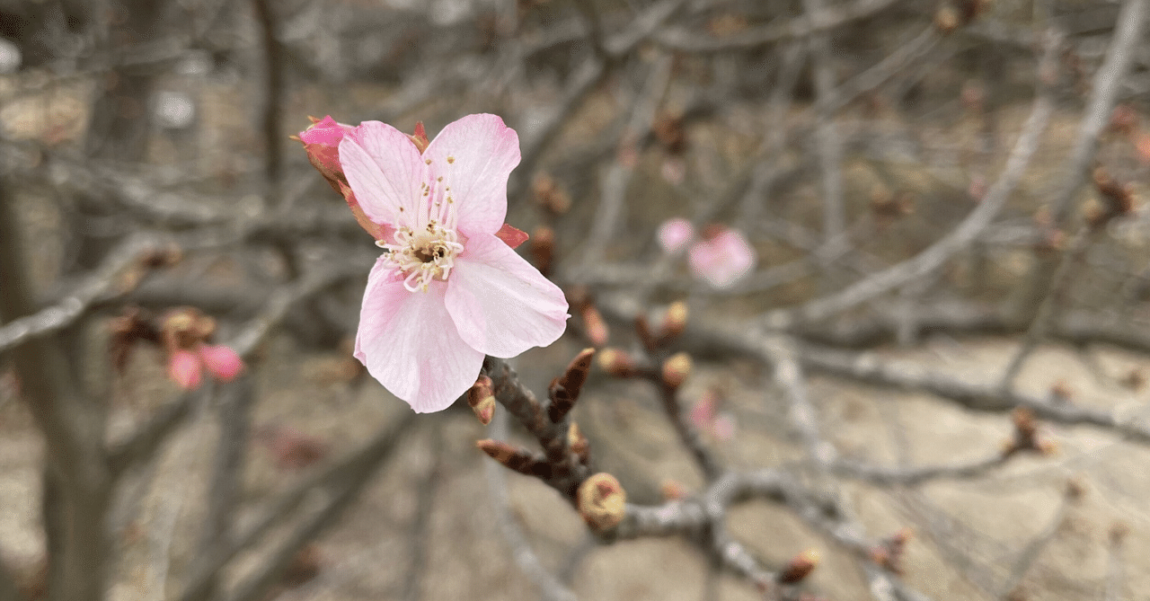 ubuntu 起動しない｜blue06_2022