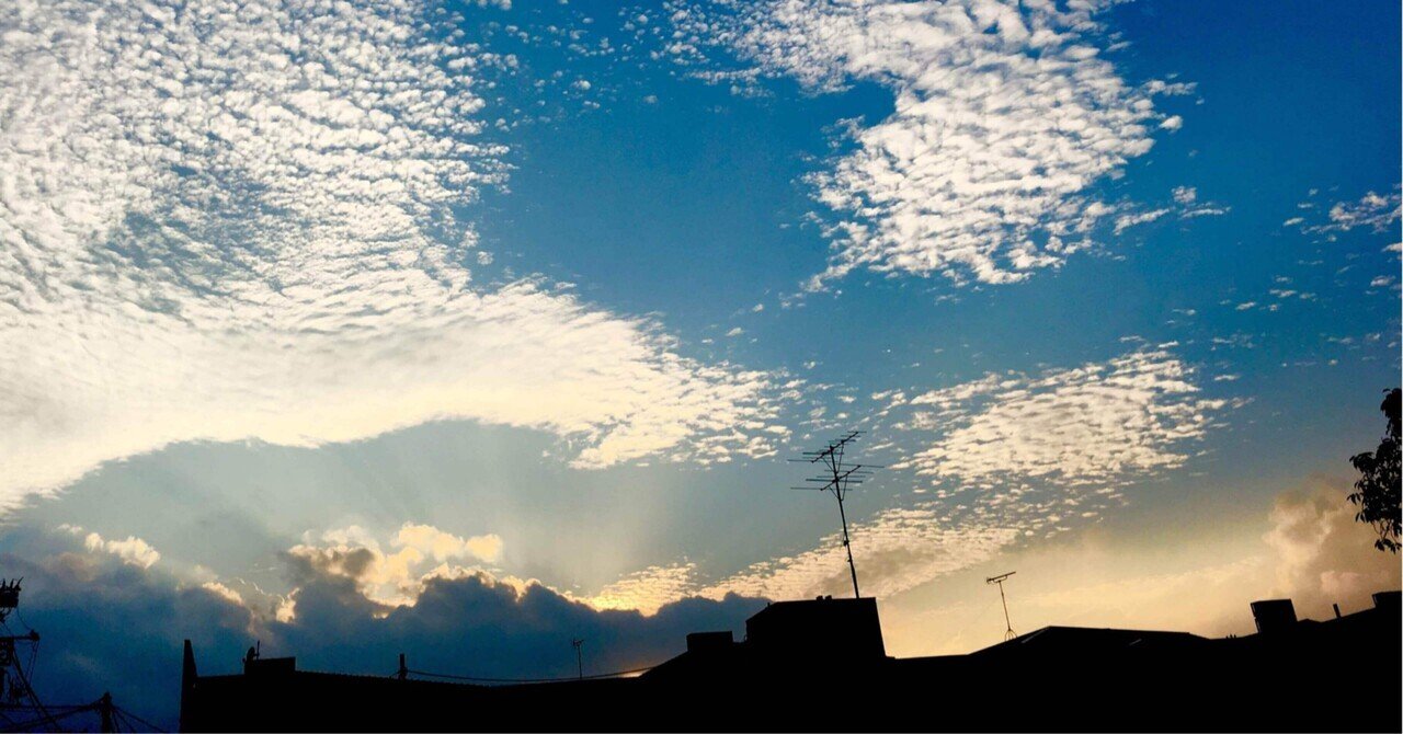 Restart：今年の目標の振り返りと決意｜Mika Endo｜ライター