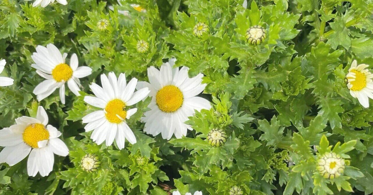 術後2年目に....｜ysk